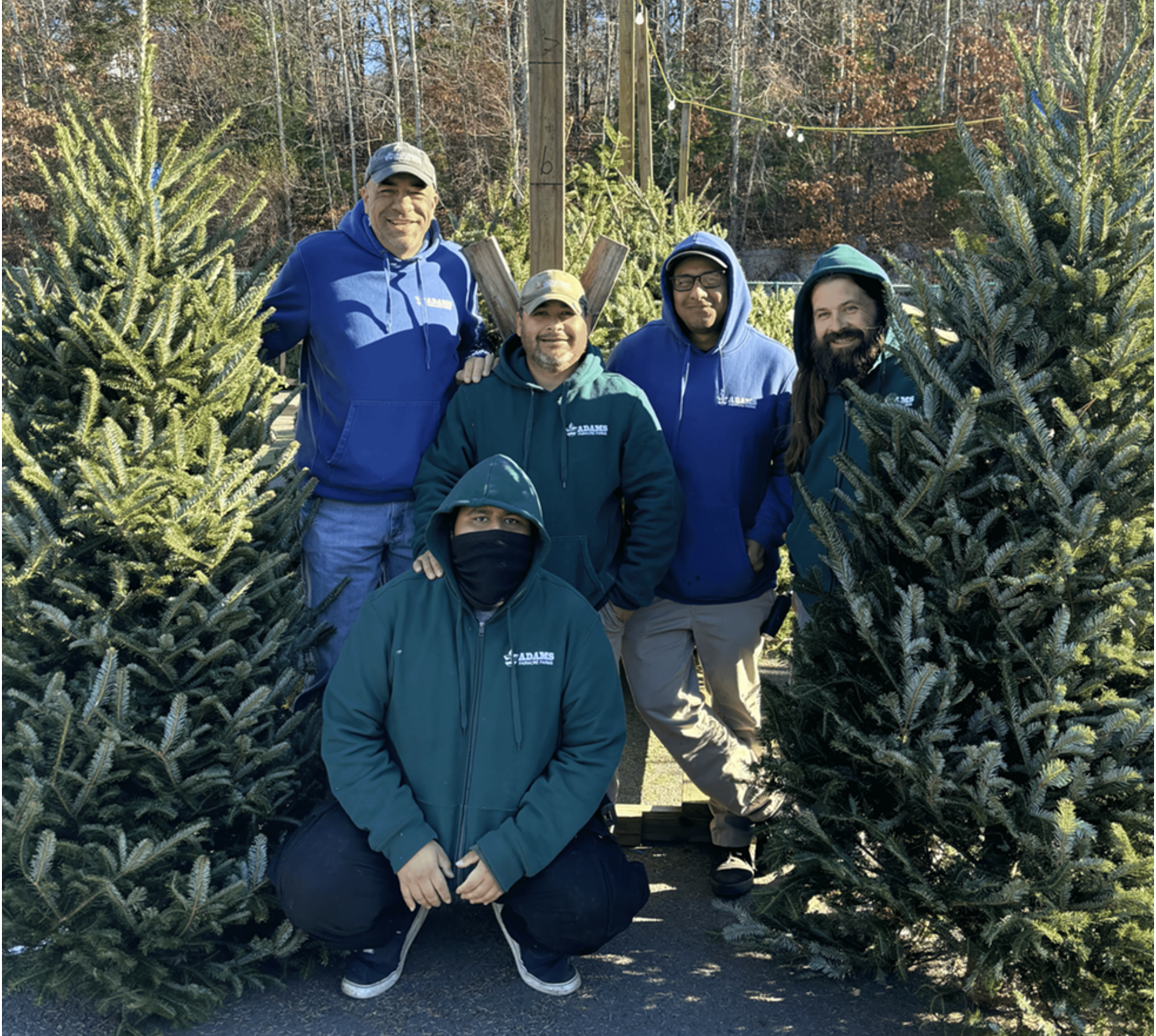 Bringing People Together With Christmas Trees at Adams Fairacre Farms