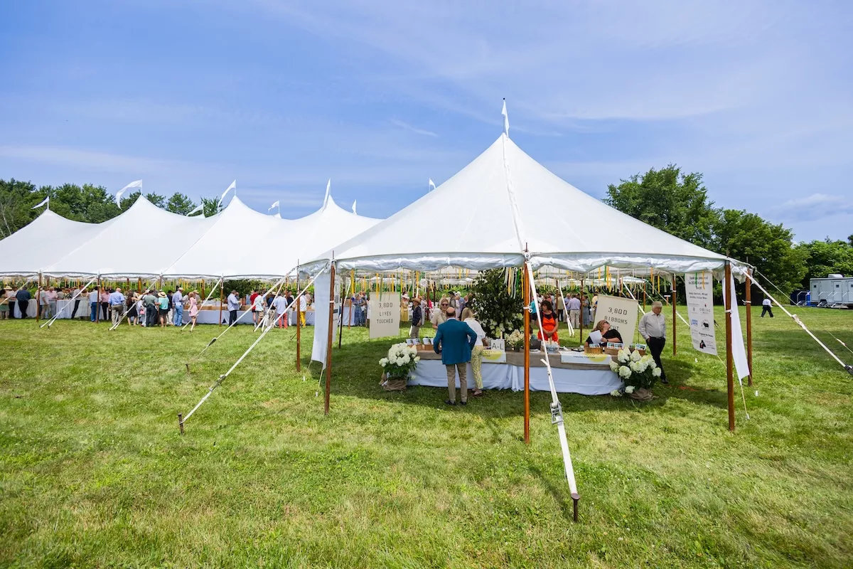 Mountain View Events: An Elevated Backdrop and Wedding Venue